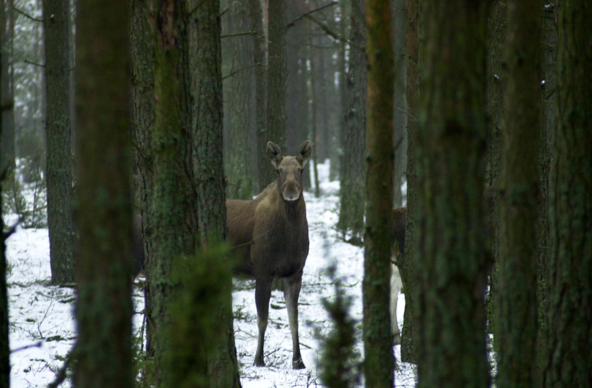 Odwiedź największy park narodowy w Polsce | Polska Agencja Prasowa SA