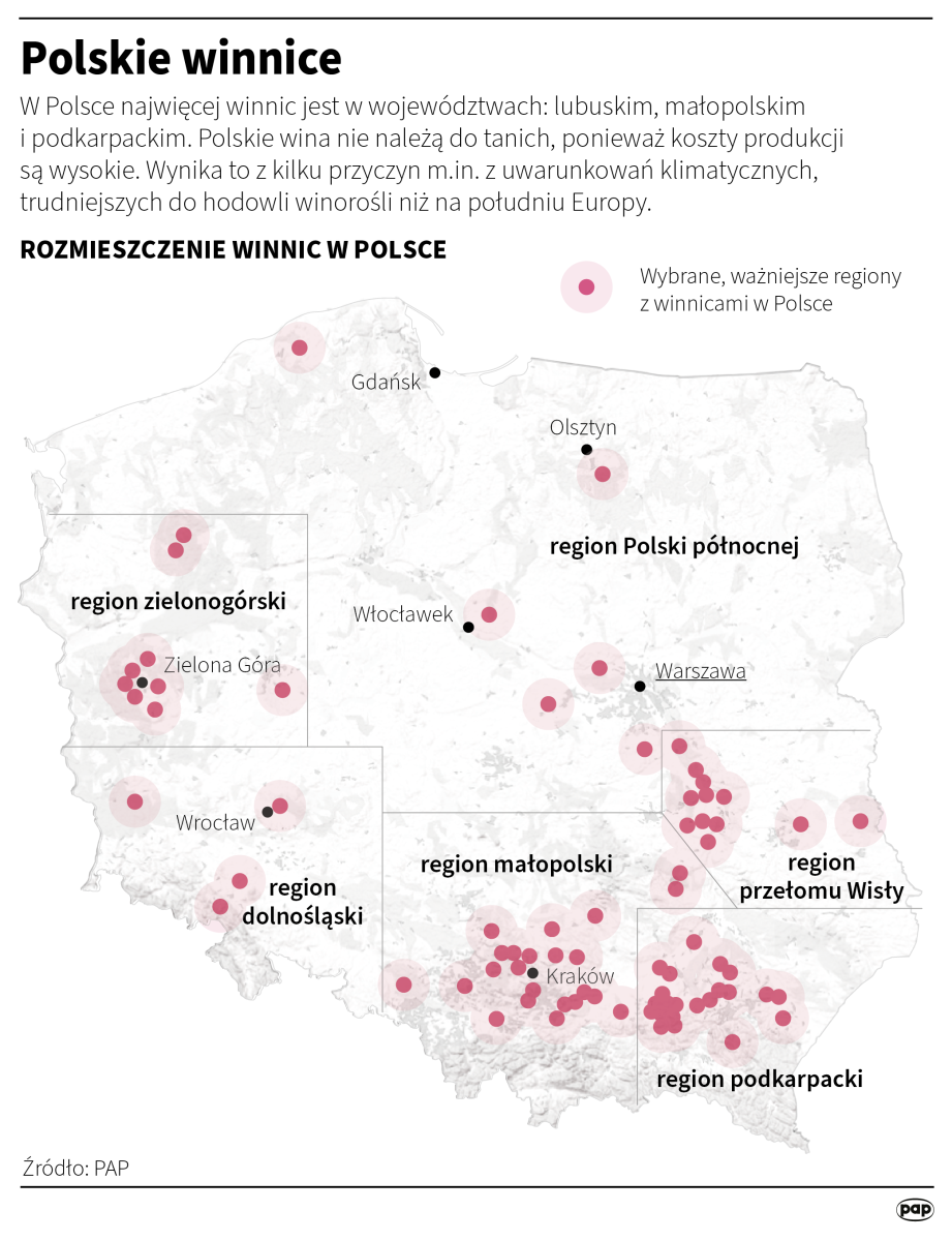 W Polsce jest 500 winnic. Powstają tu wina wysokiej jakości [NASZE ...